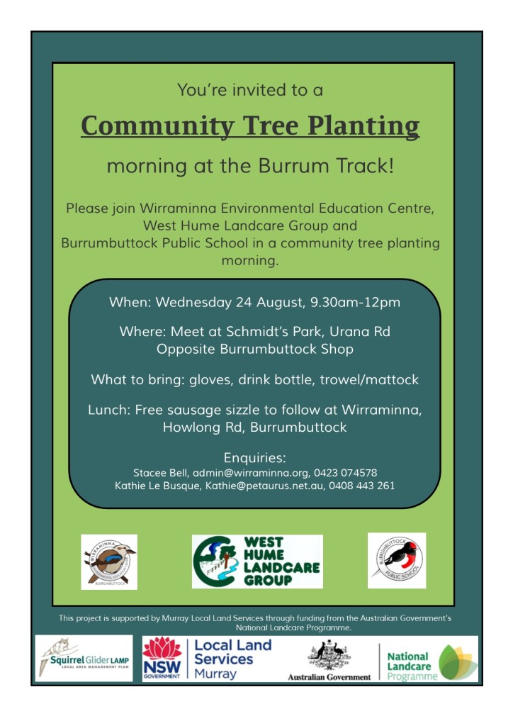 Tree-planting-flyer – Ecoportal