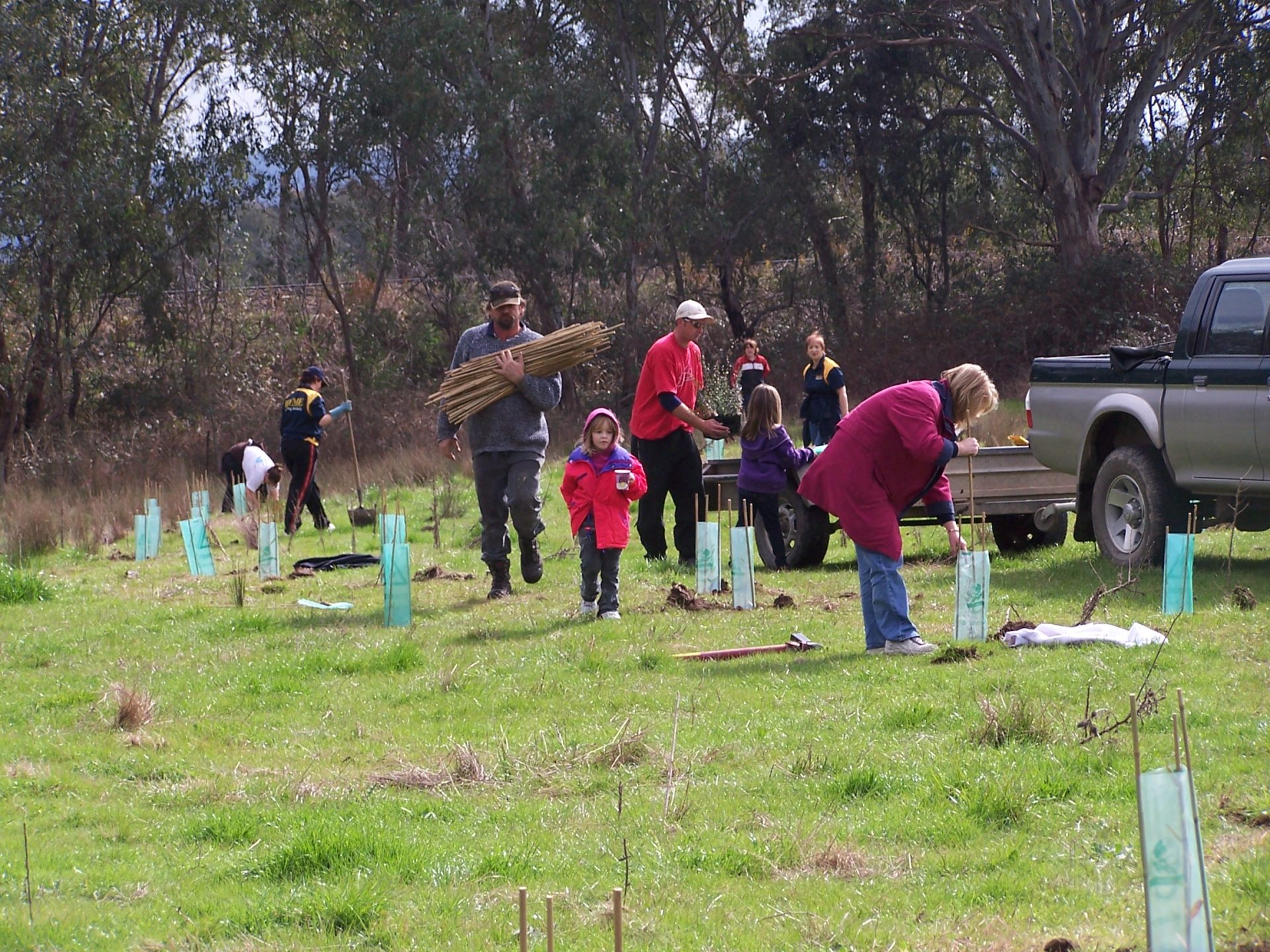 planting-progress – Ecoportal