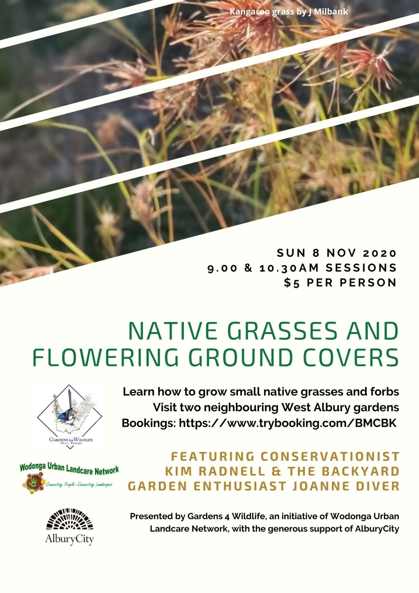 Native-grasses-and-flowering-ground-covers-thumbnail – Ecoportal